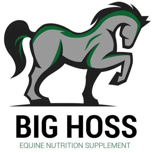 Big Hoss: Omega-3 Equine Supplement for Performance Horses